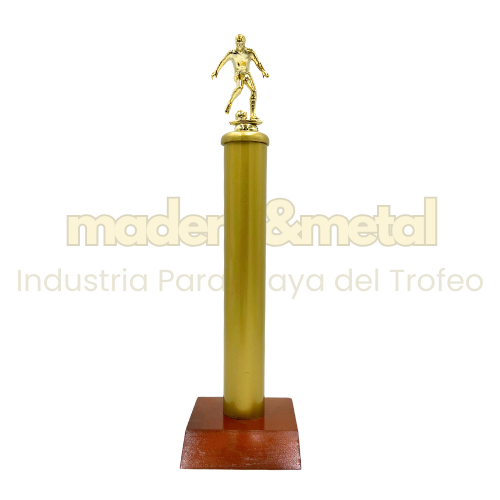 Madera y Metal. Trofeos económicos